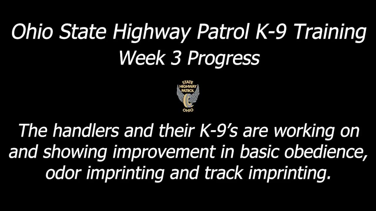 Paws at work: Watch K9 teams train at OSHP facility – WDTN.com