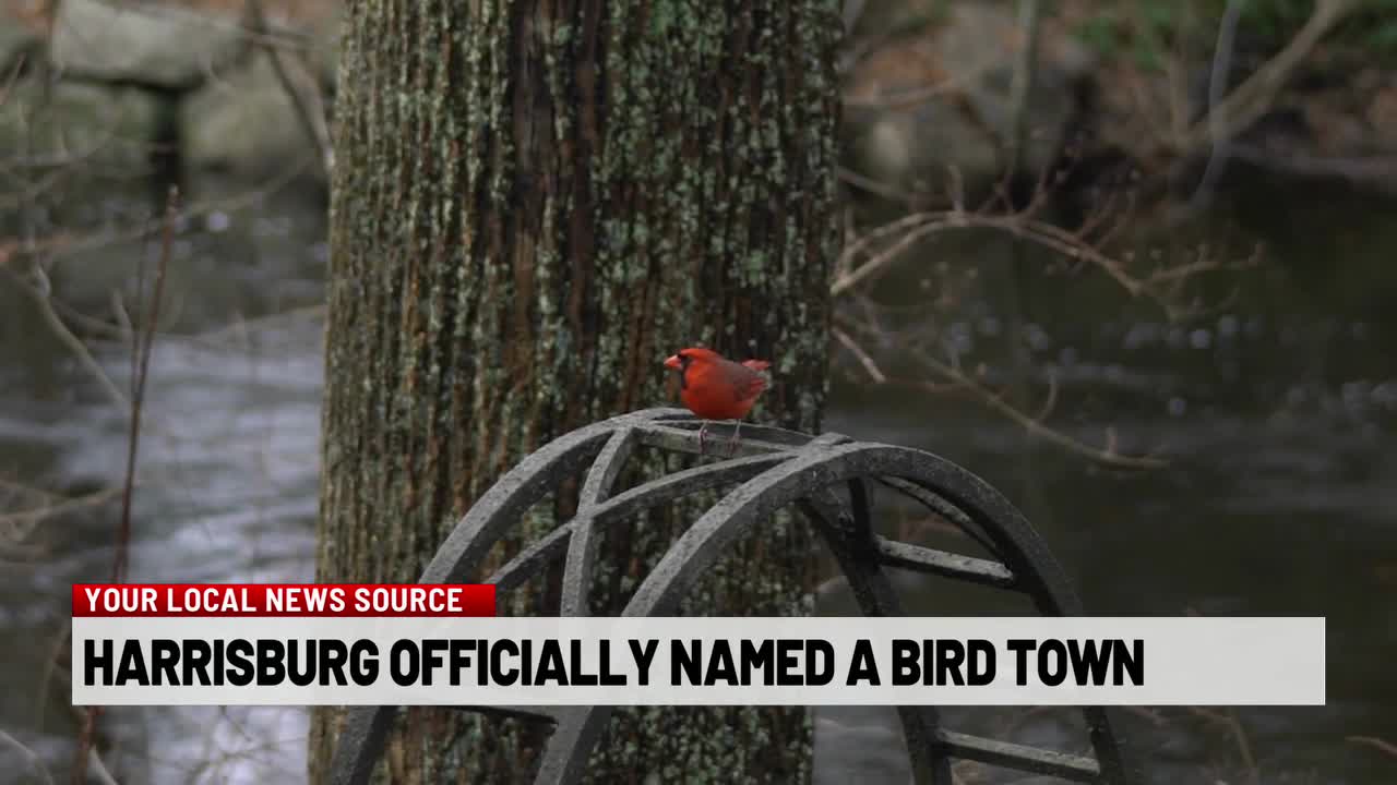 Harrisburg named official ‘Bird Town’, will join effort to protect ...