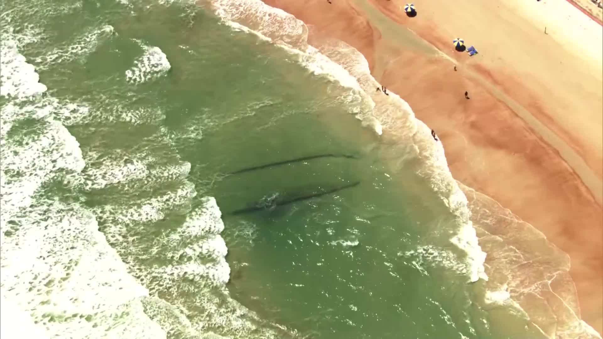 Possible Shipwreck Unearthed On Daytona Beach Shores By Storm Erosion