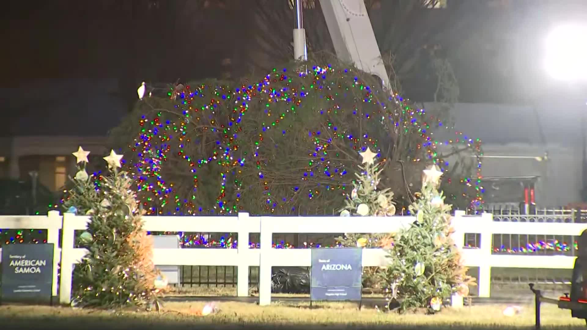 National Christmas Tree topples over – WFLA