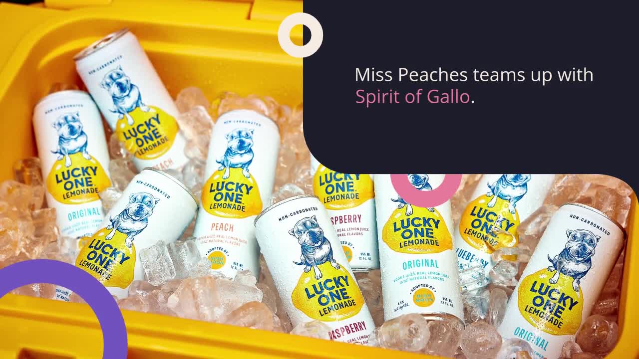 Miss Peaches partners with Lucky One Vodka Lemonade to help rescue dogs – WFLA