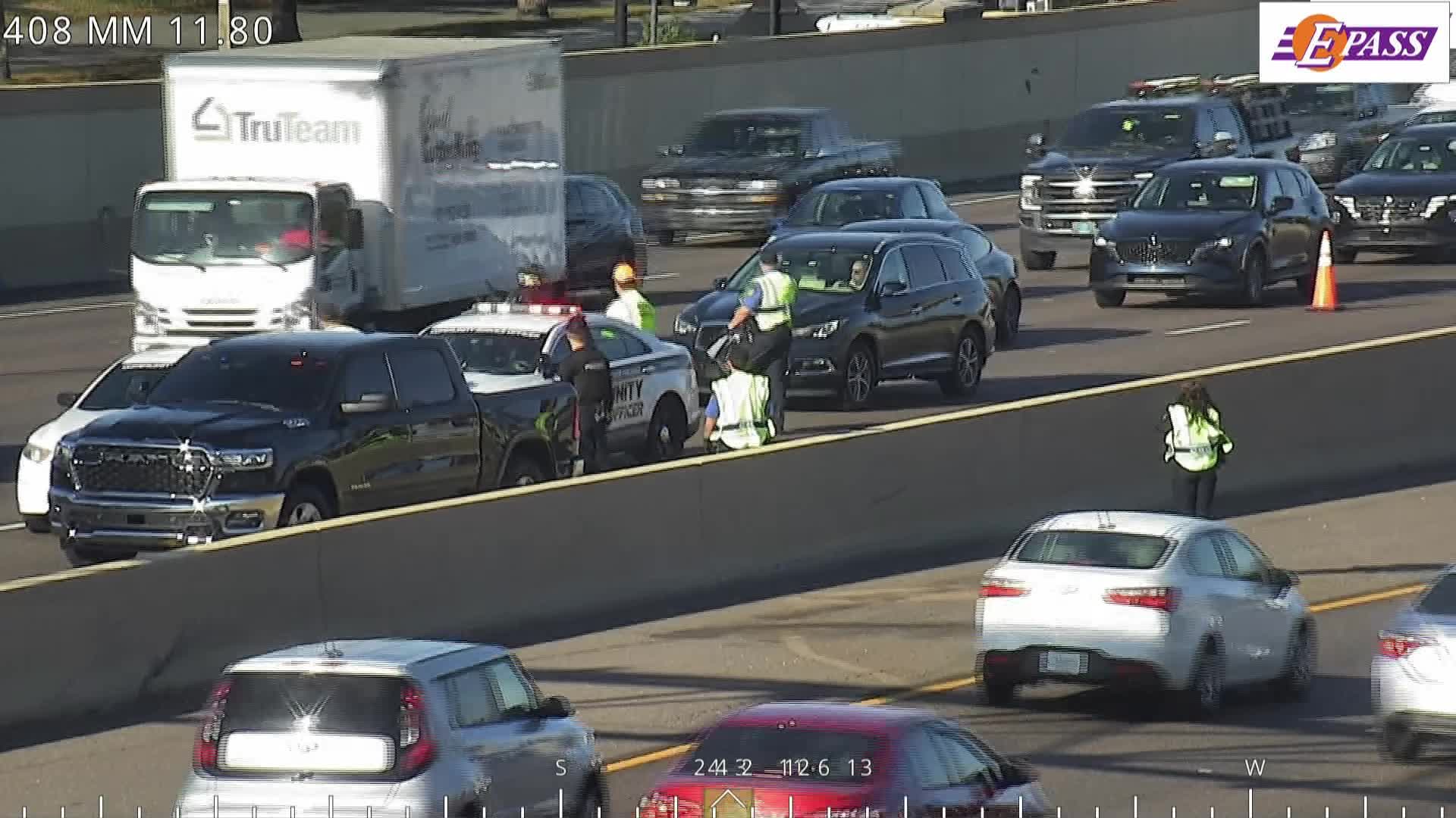 WATCH: Police officers chase down swan on busy Florida highway – WFLA