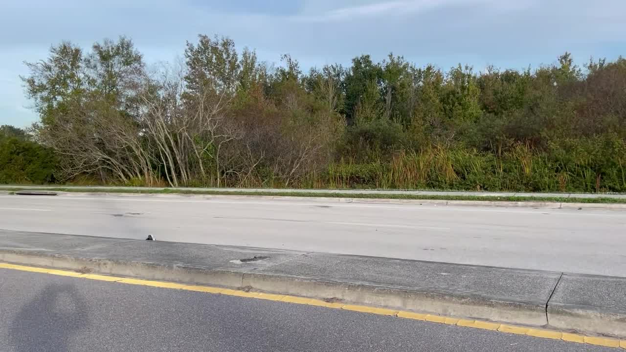 Teen bicyclist fatally struck by school bus in Lakeland – WFLA Teen bicyclist fatally struck by school bus in Lakeland – WFLA