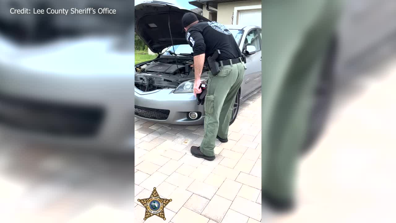 WATCH: Florida deputy pulls big snake out of car engine – WFLA