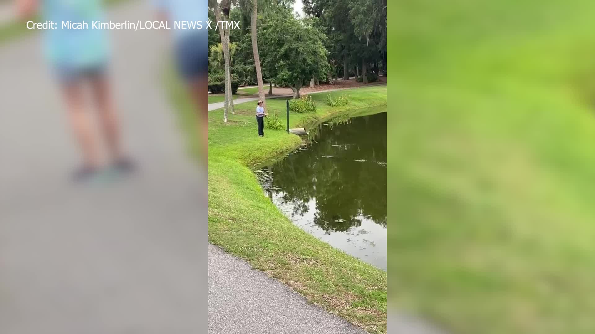 Alligator chases fisherman in South Carolina – WFLA