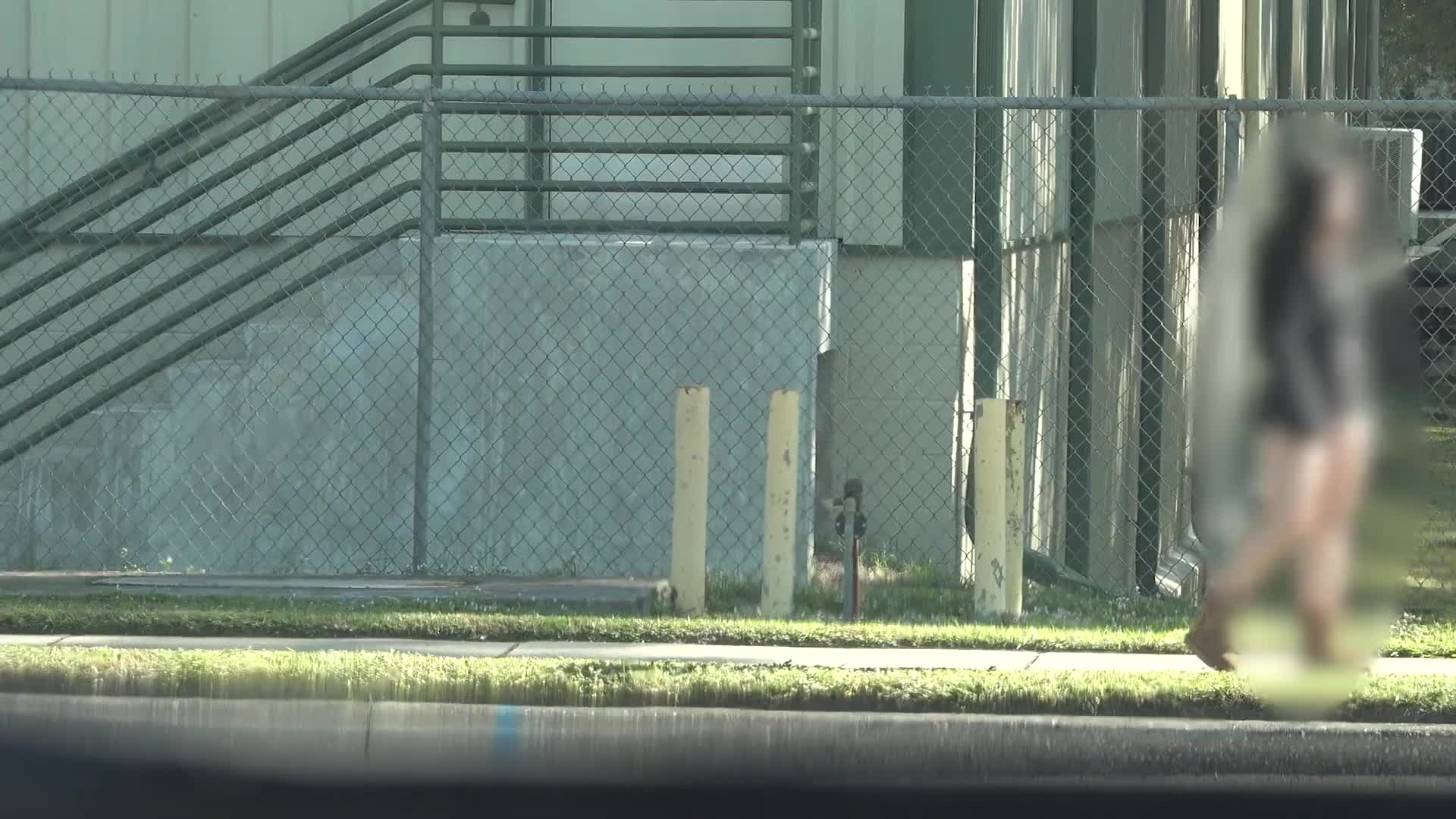 Operation Renewed Hope – WFLA