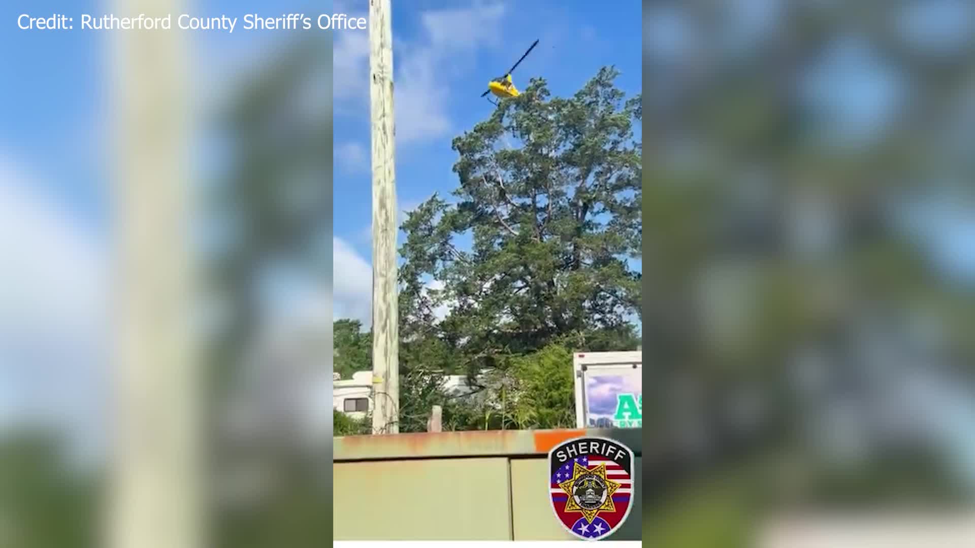 A runaway pet zebra has been captured in Tennessee – WFLA