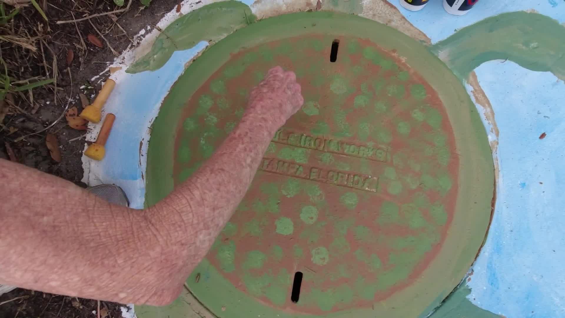 Tampa partners with artist for anti-pollution storm drain art – WFLA