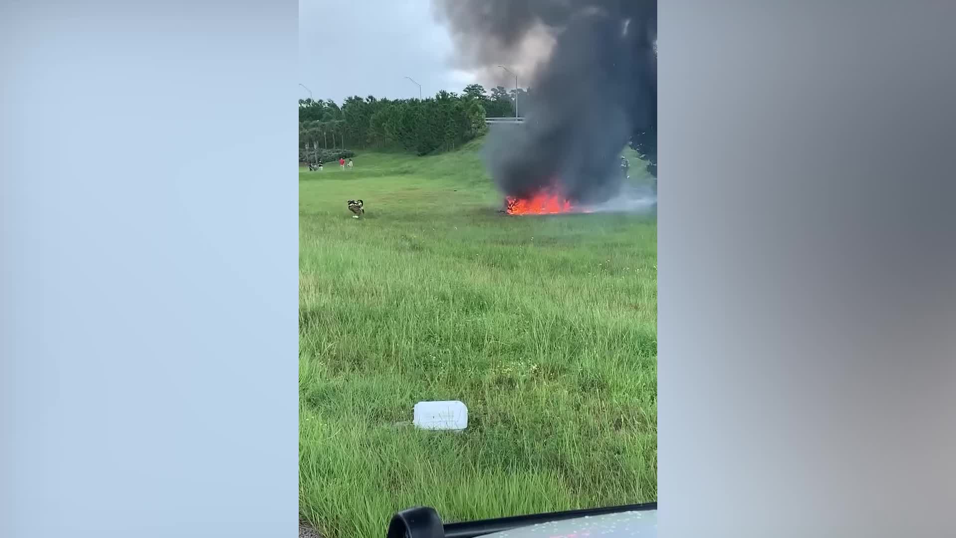 Car bursts into flames after rollover crash in Florida – WFLA