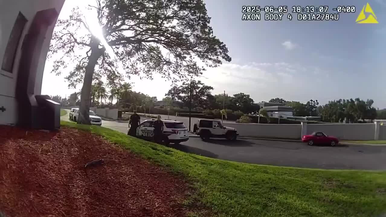Clearwater police wrangle alligator – WFLA