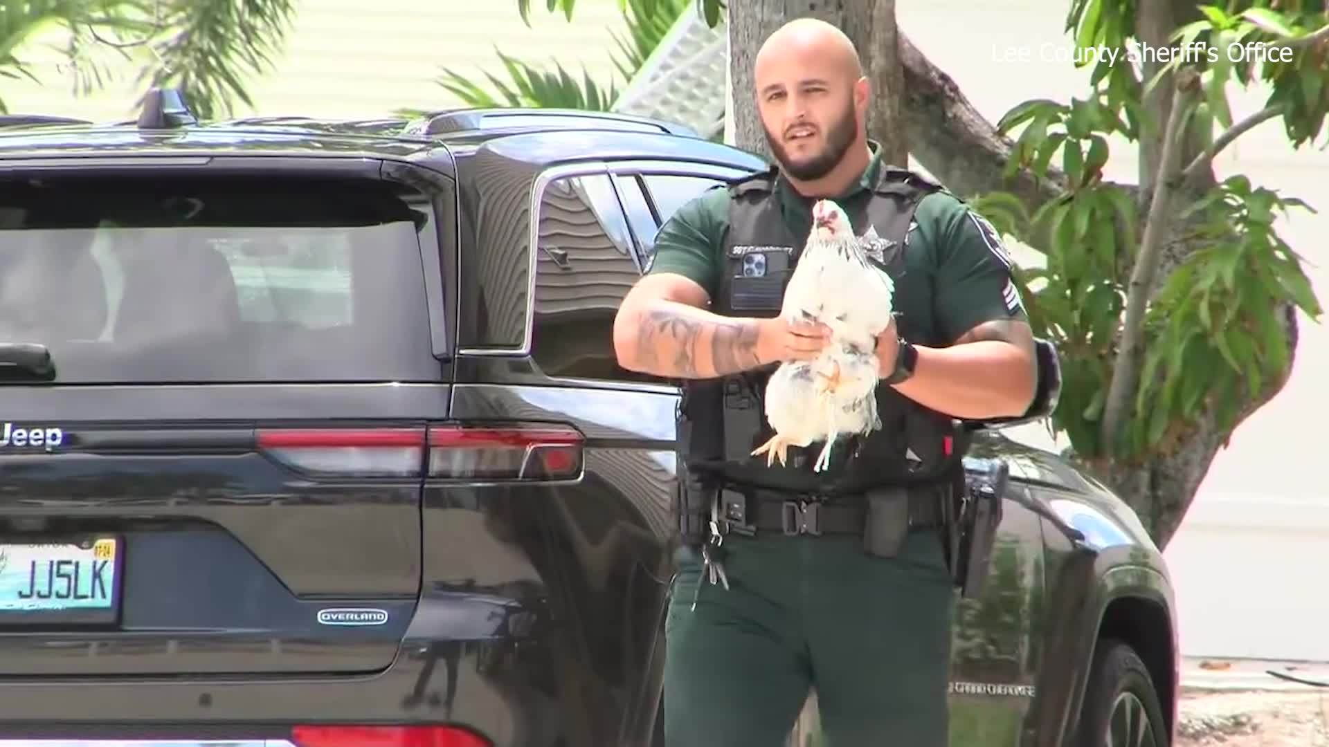 Chicken brawl ends up ruffling feathers, sending 2 men to jail in ...
