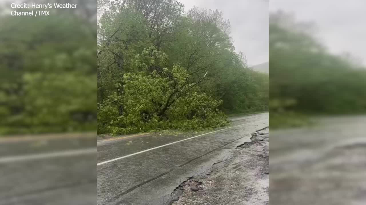 Car slams into fallen tree – WFLA