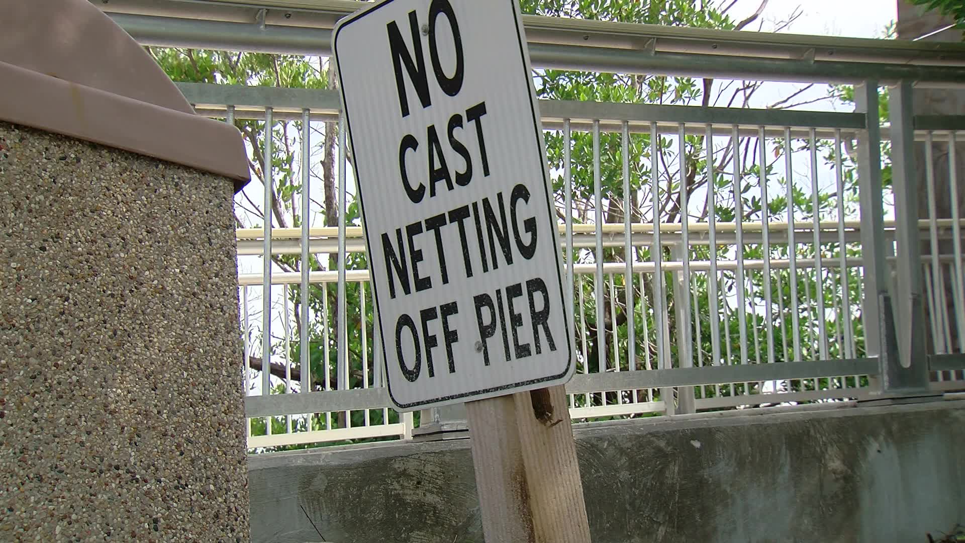 Florida ‘right to hunt and fish’ amendment makes it onto 2024 ballot – WFLA