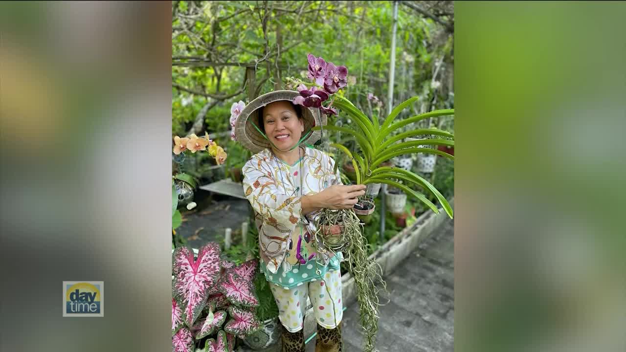 Judy Bao Garden – WFLA