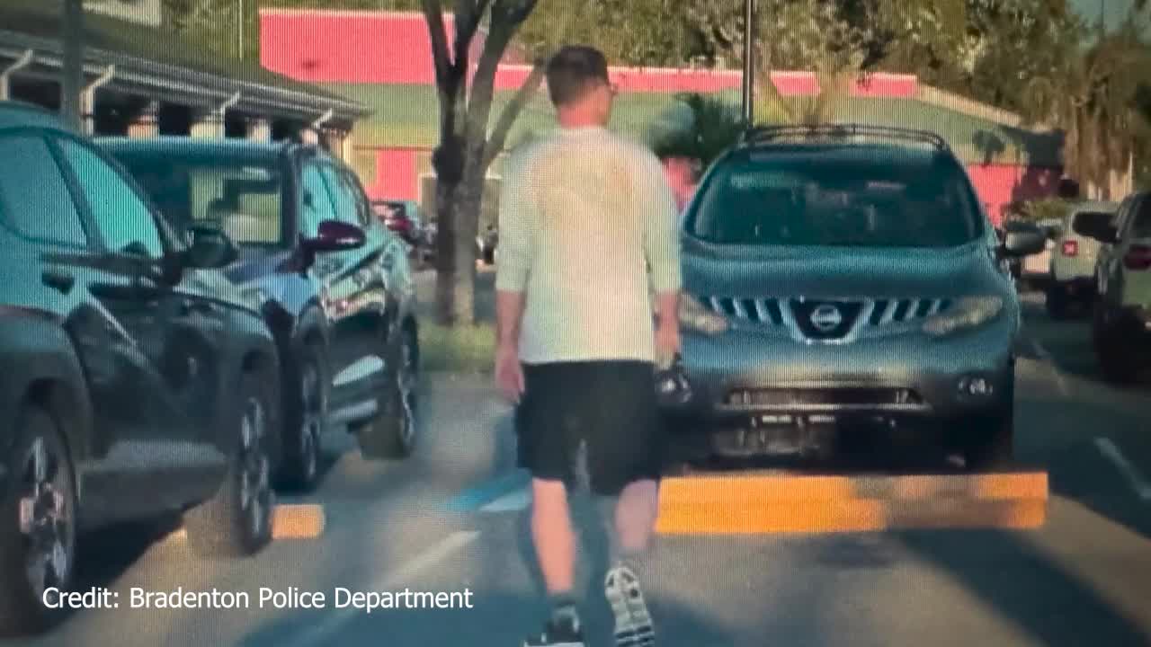 Tesla vandal in Bradenton – WFLA