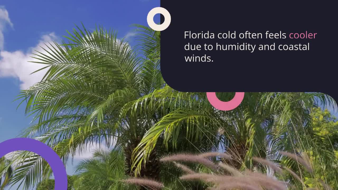How to Dress for Florida Cold: Tips for tourists and snowbirds – WFLA
