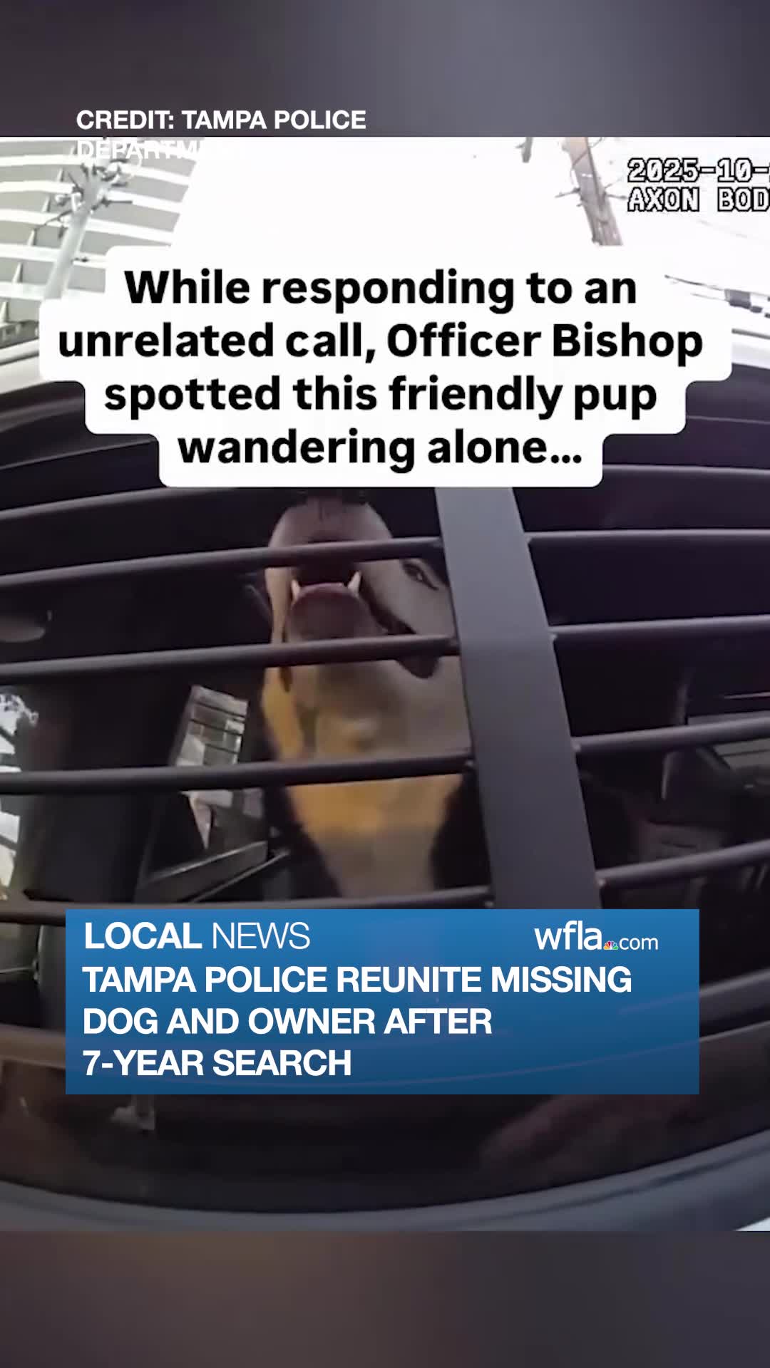 Tampa police reunite missing dog and owner after 7-year search – WKRG ...