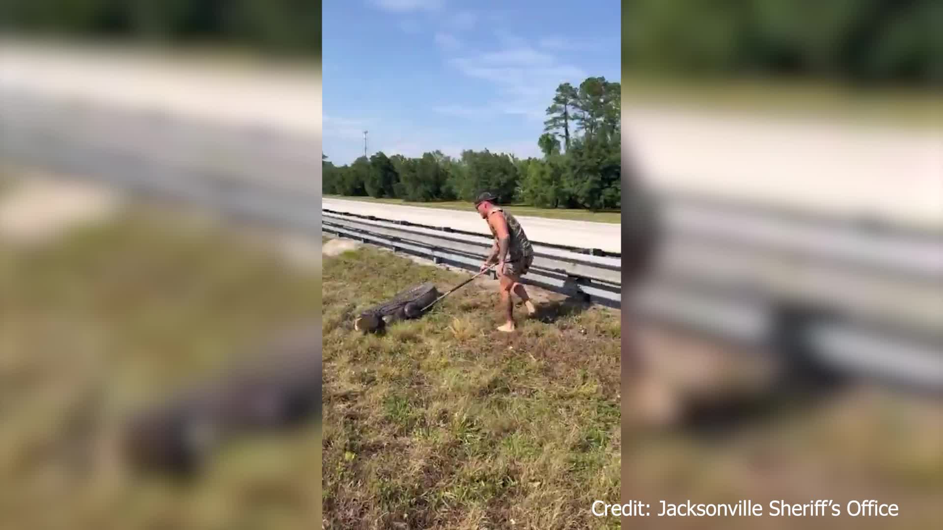 Barefoot man helps deputies wrangle gator on side of highway – WSPA 7NEWS