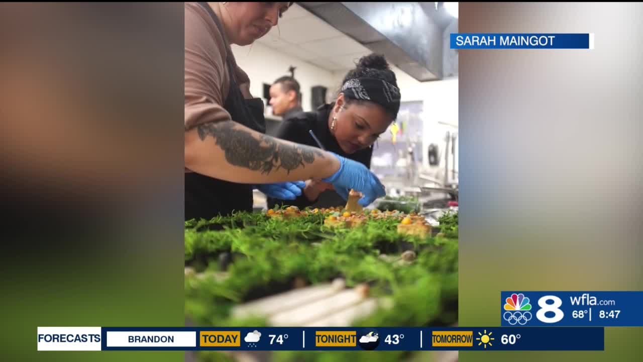 Tampa chef competes on Food Network show – WFLA