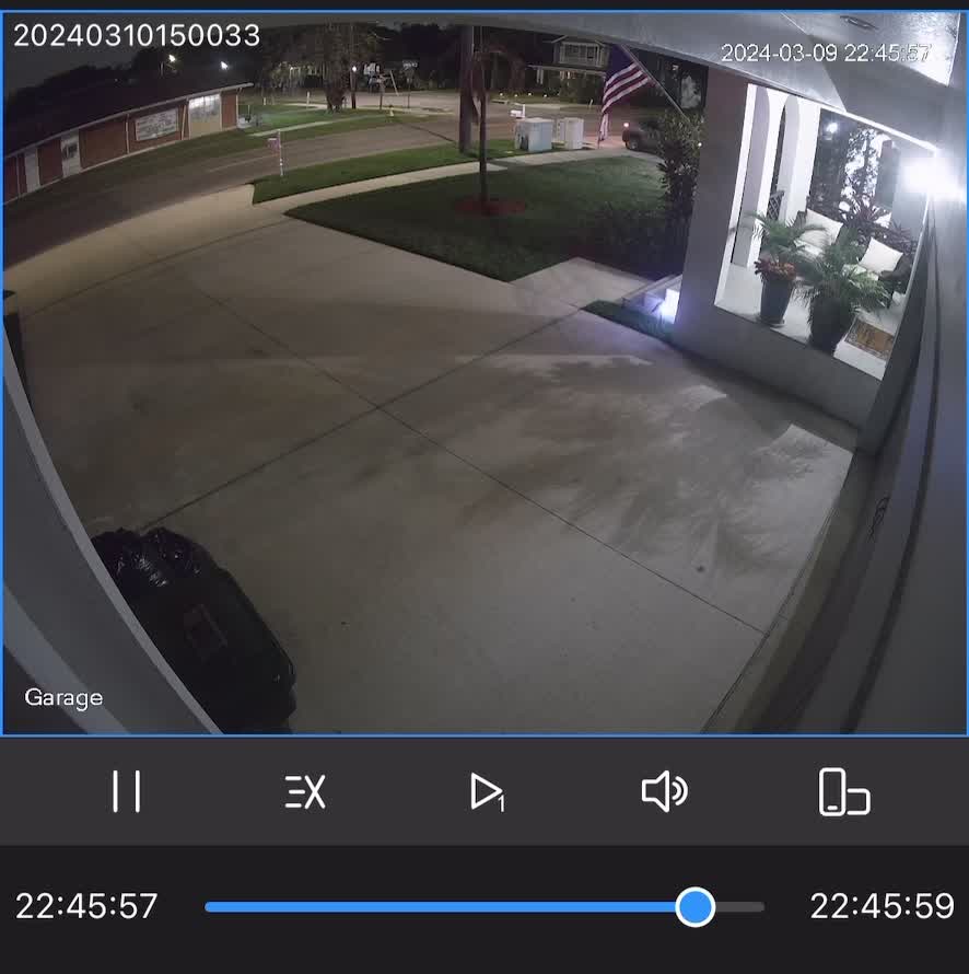 Video appears to show Tampa police cruiser run stop sign, hit car – WFLA