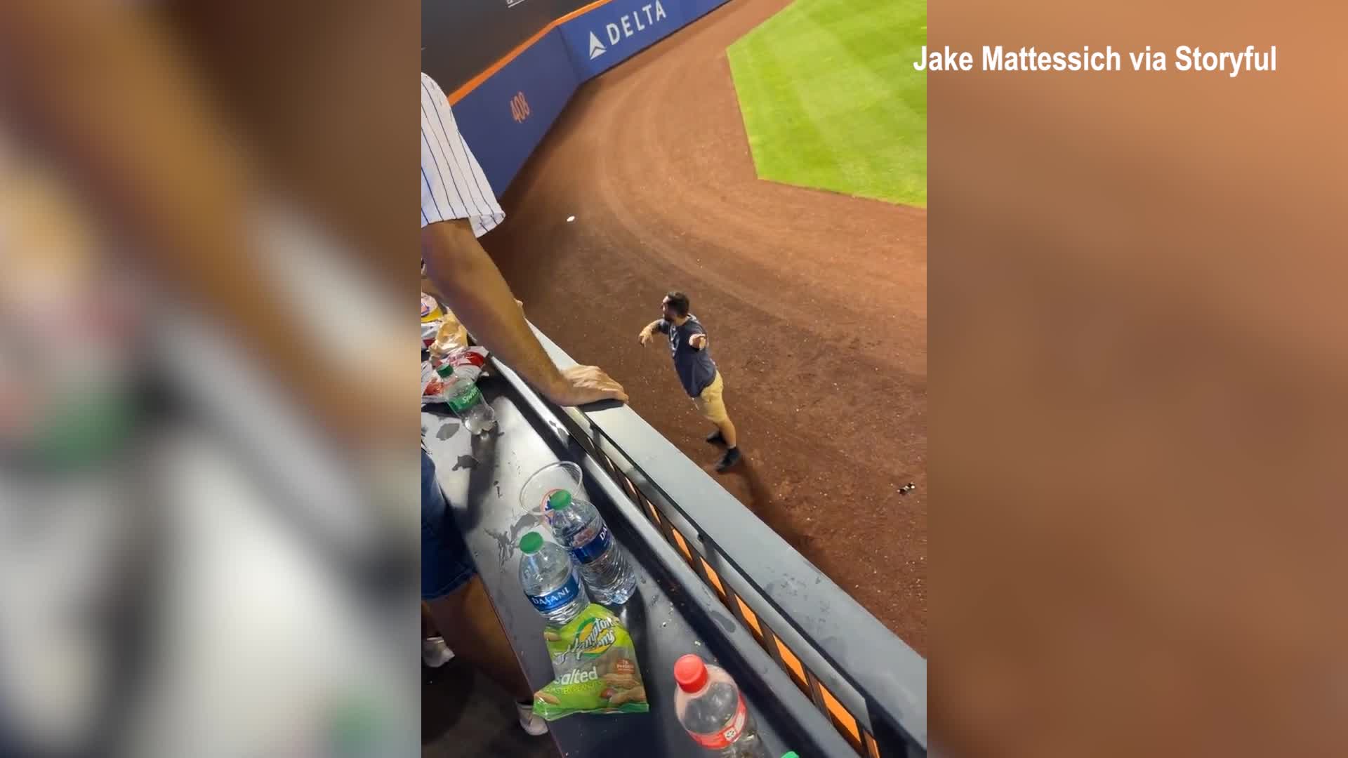 Fan reportedly falls onto field during Mets-Giants game – WFLA