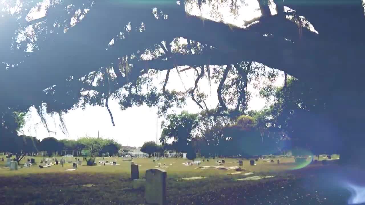 Watch our special presentation ‘Rooted in Progress’ – WFLA