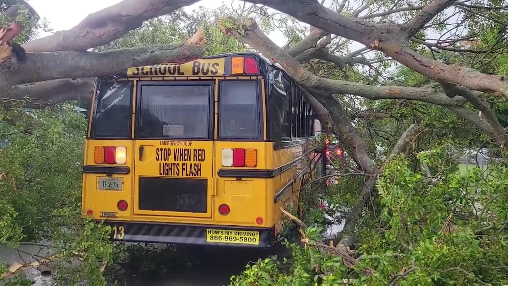 Tree falls on Florida school bus with 20 kids on board – WFLA