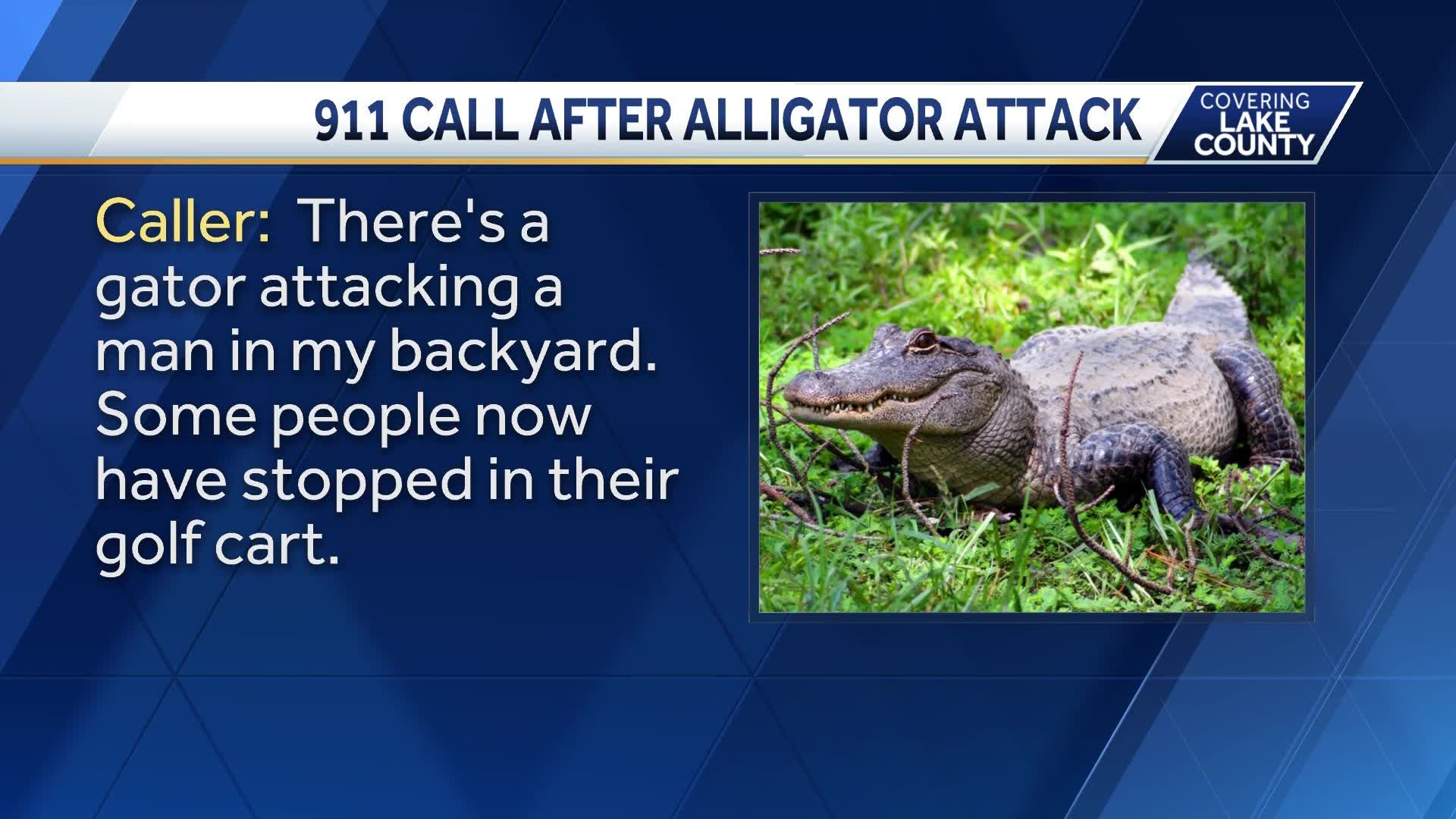 9-foot gator attacks man fishing in Florida pond – WFLA