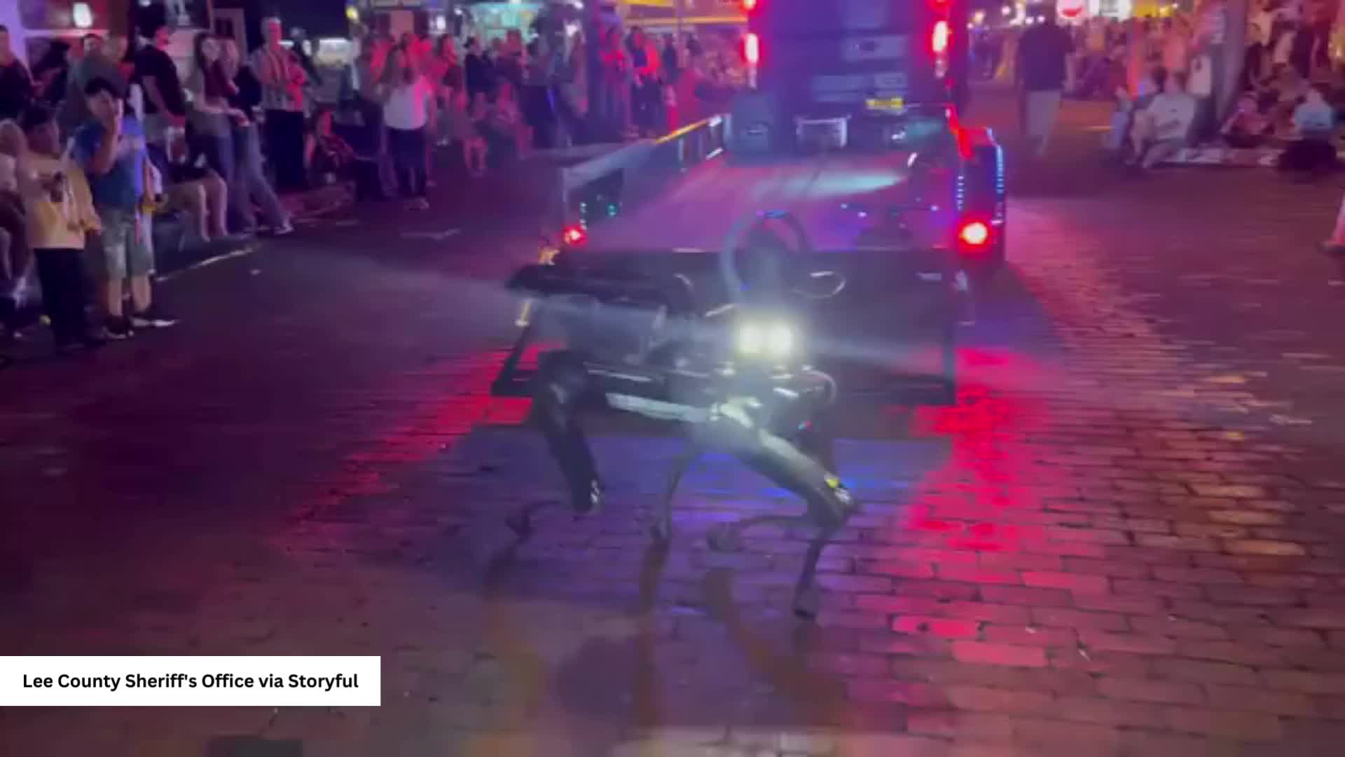 Sheriff’s Robo Dog Delights Crowd at Fort Myers Parade – WFLA