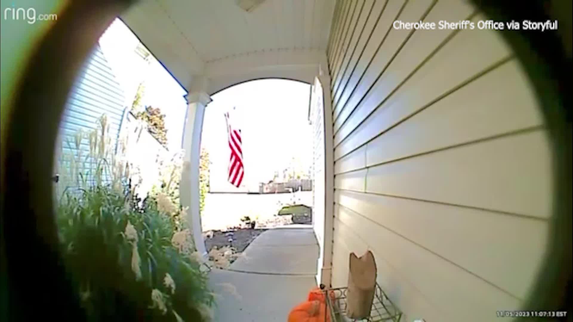 Ring camera catches deer “Ding Dong ditch” home – WFLA