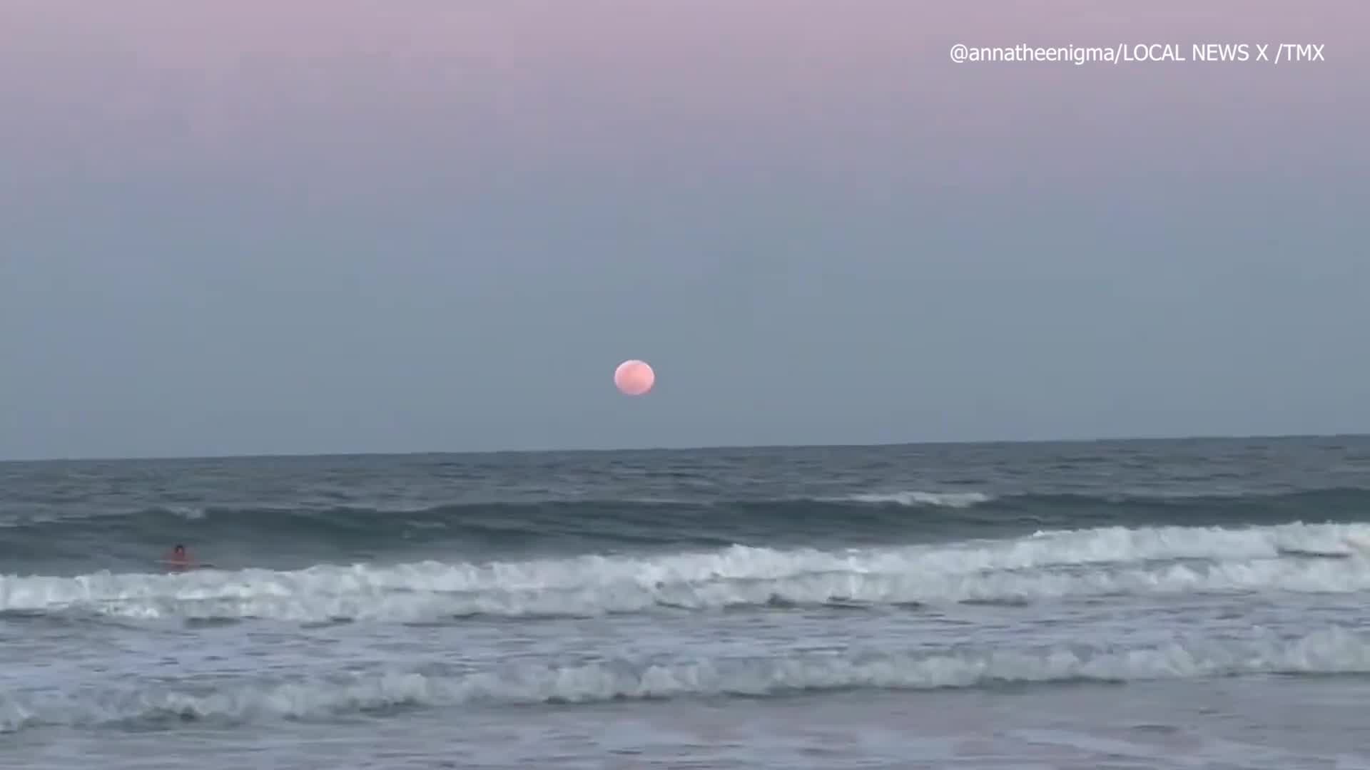 Full pink moon in Florida – WFLA