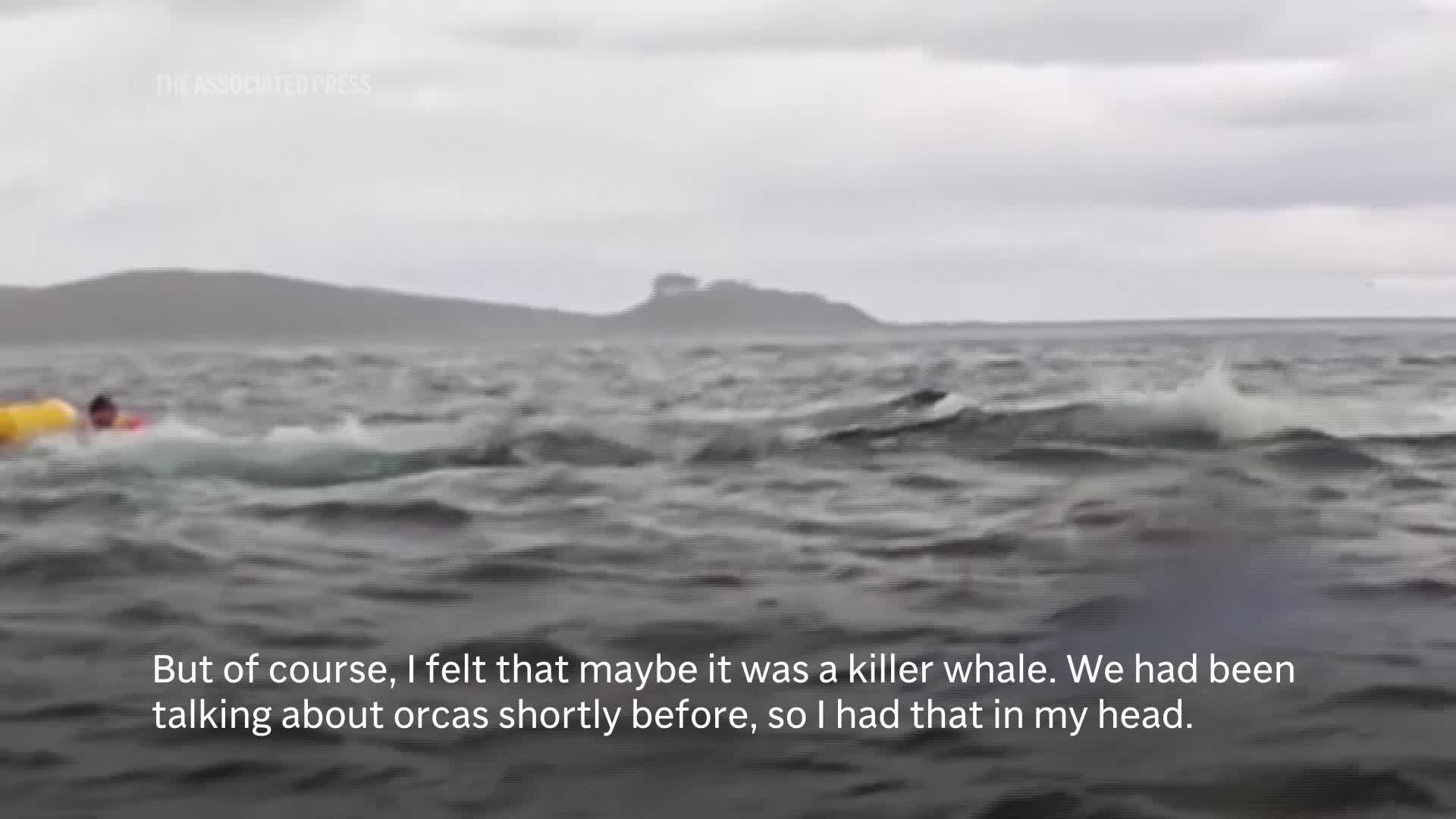 Humpback whale swallows person off of Chile – WFLA