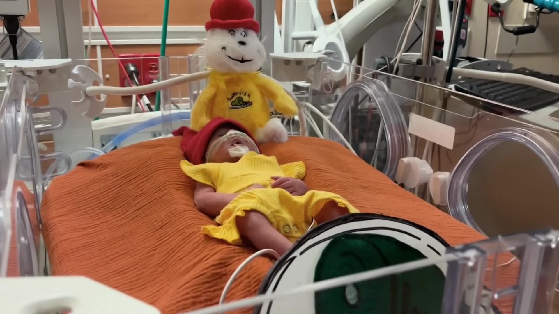 Florida hospital dresses NICU babies in Dr. Seuess-themed outfits for ...