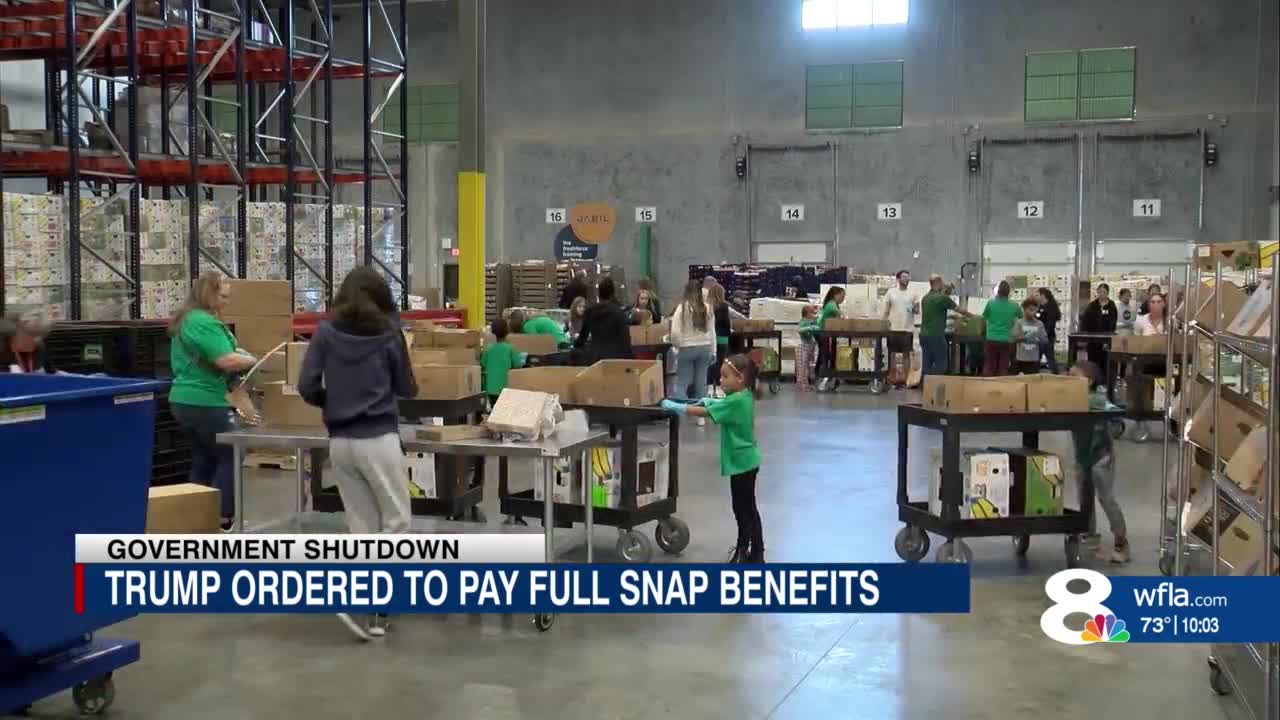 Bill to fix food deserts introduced while SNAP benefits fluxuate – WFLA