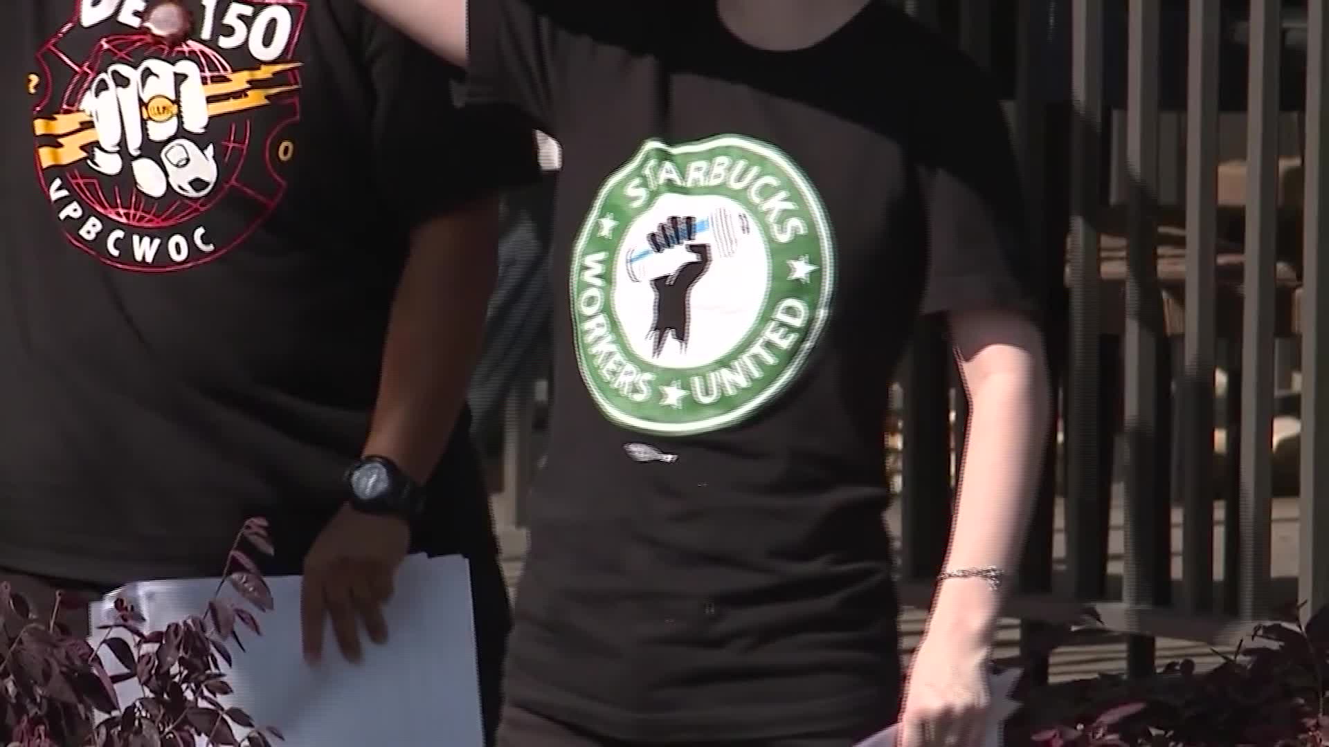 Starbucks accused of illegal union busting during congressional hearing ...