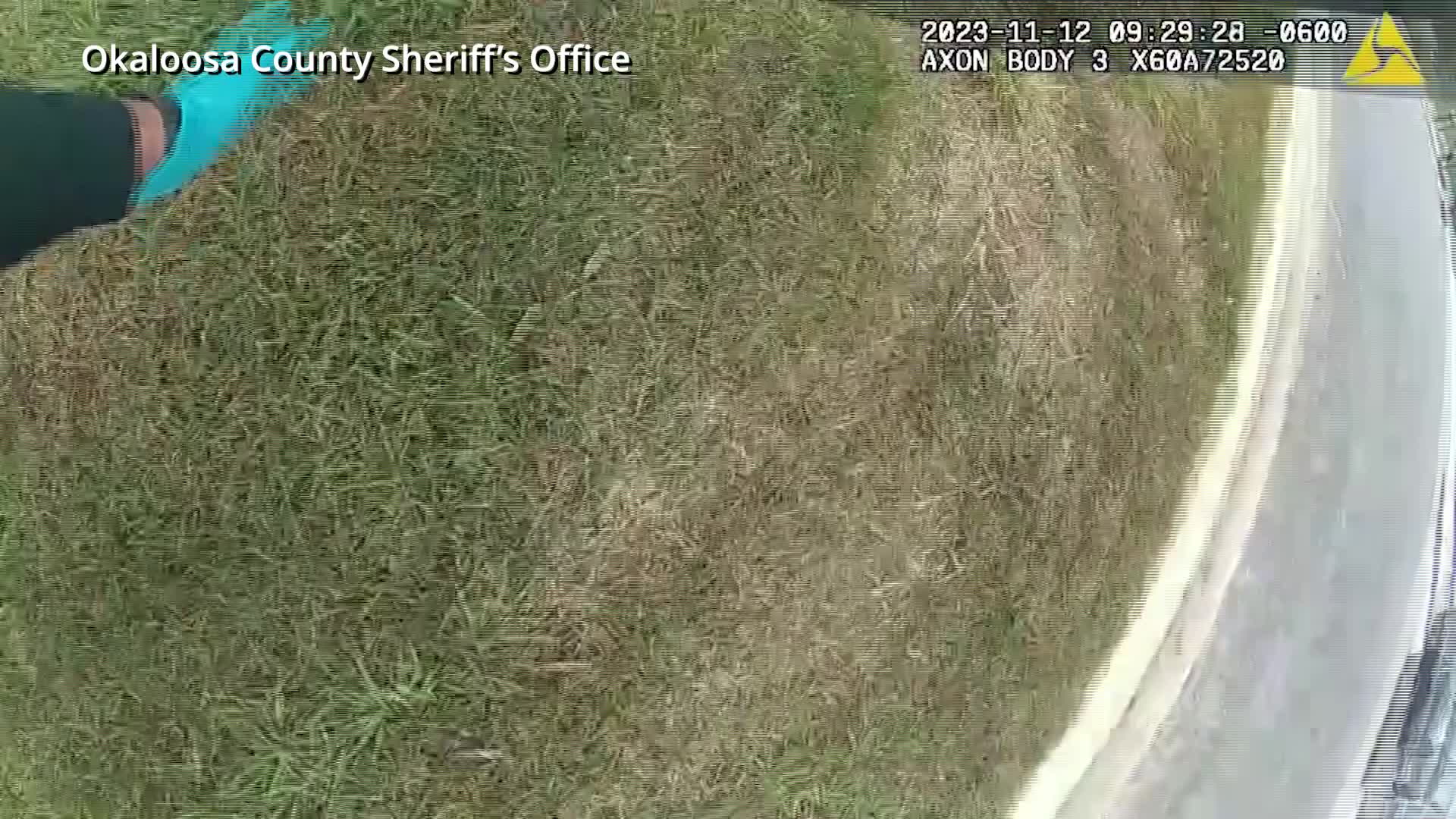 Florida deputy mistakes falling acorn for gunshot, opens fire on patrol ...