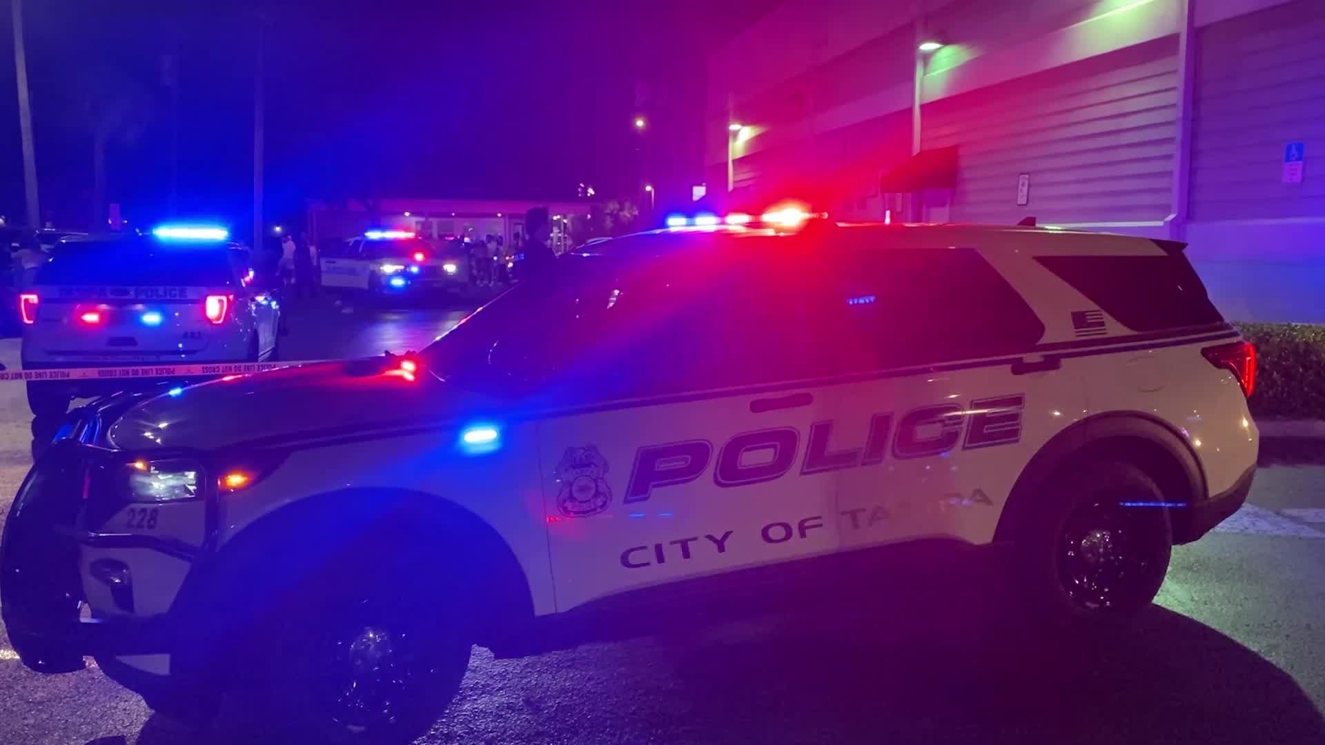 4 arrested after shots fired mid-fight in SOHO, Tampa police say – WFLA