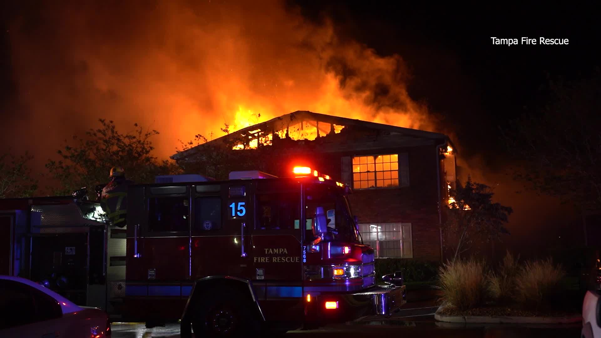 South Tampa blaze burns through apartment complex roof – WFLA
