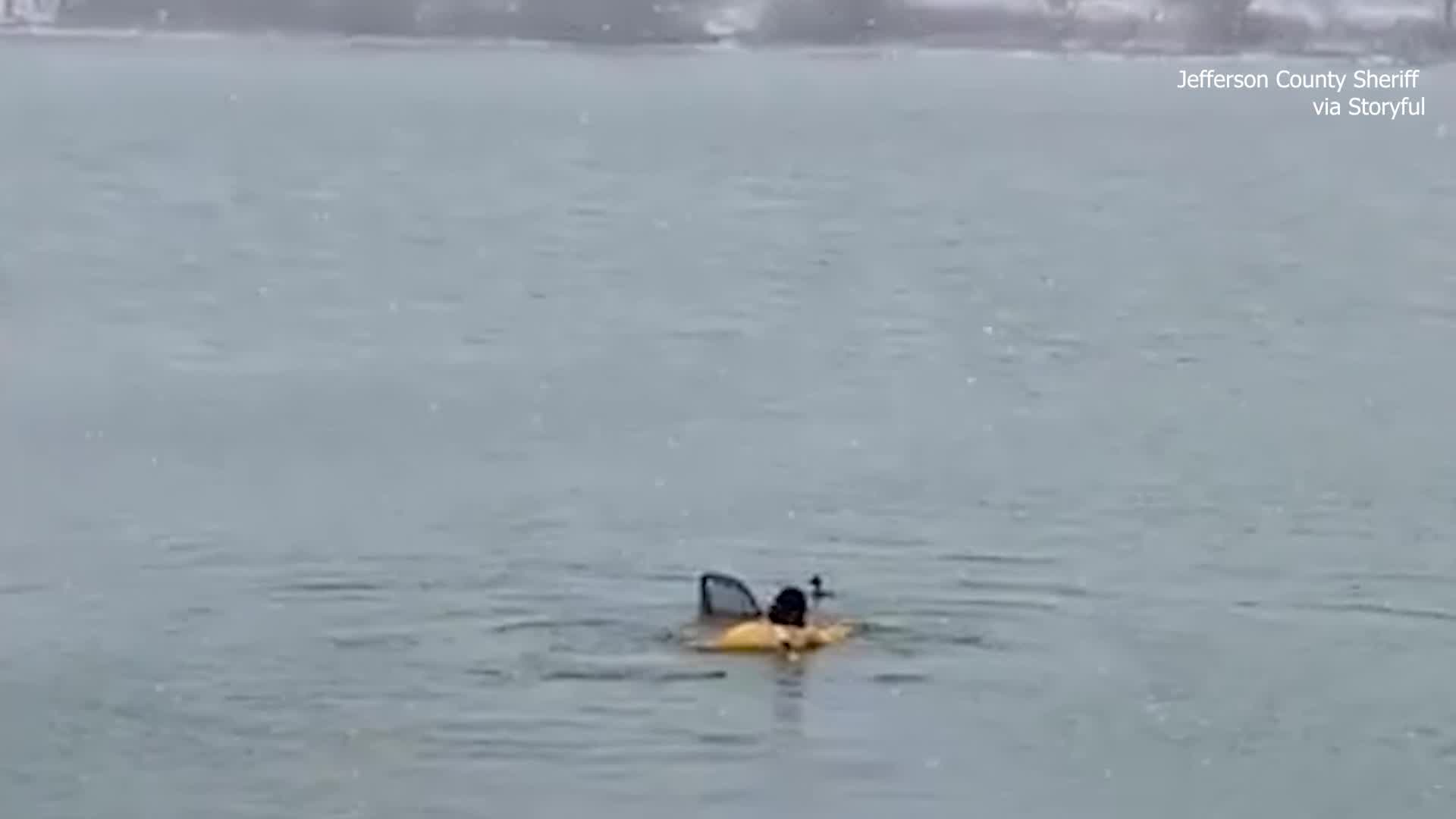 Duck rescued from lake after getting tangled in fishing line, lure – WFLA