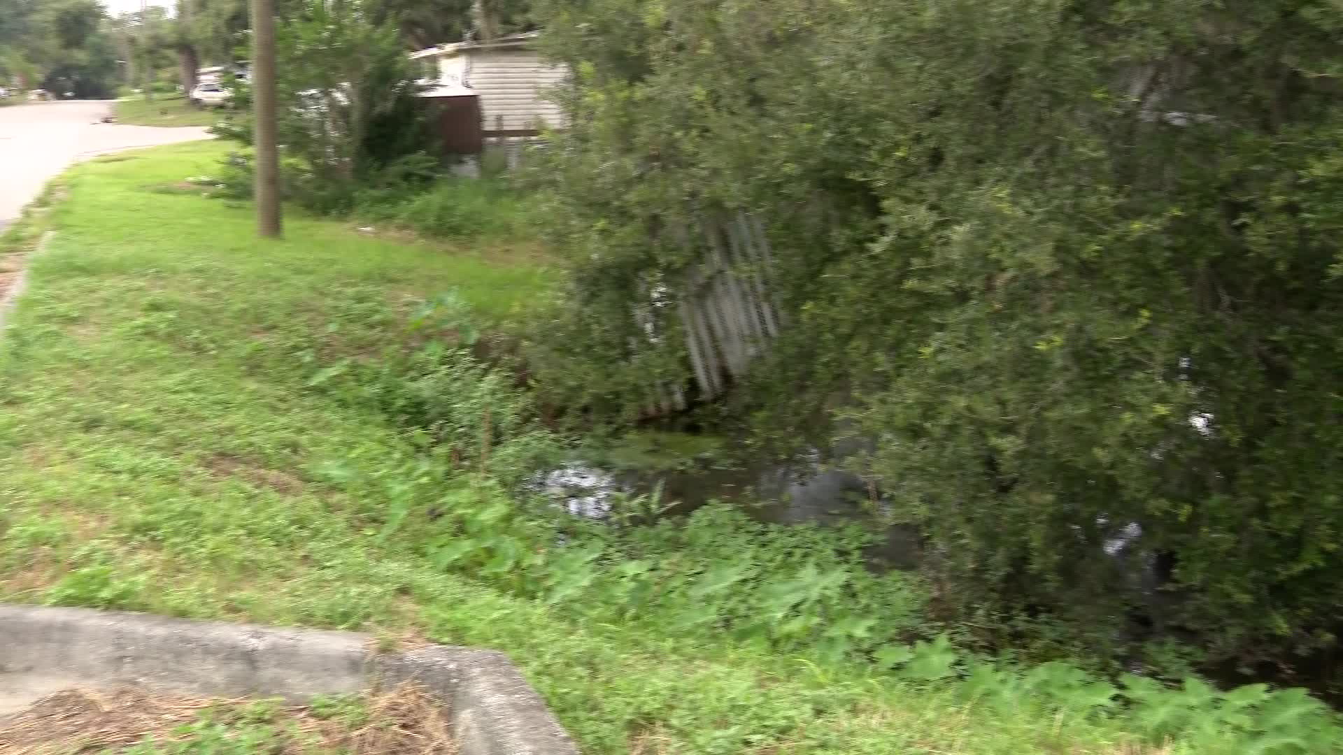 Florida man accused of beating alligator with golf club over fishing ...