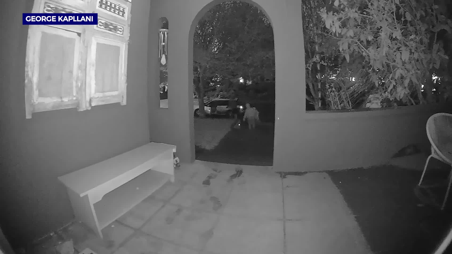 Mini-Me statue stolen from Portland home – WFLA