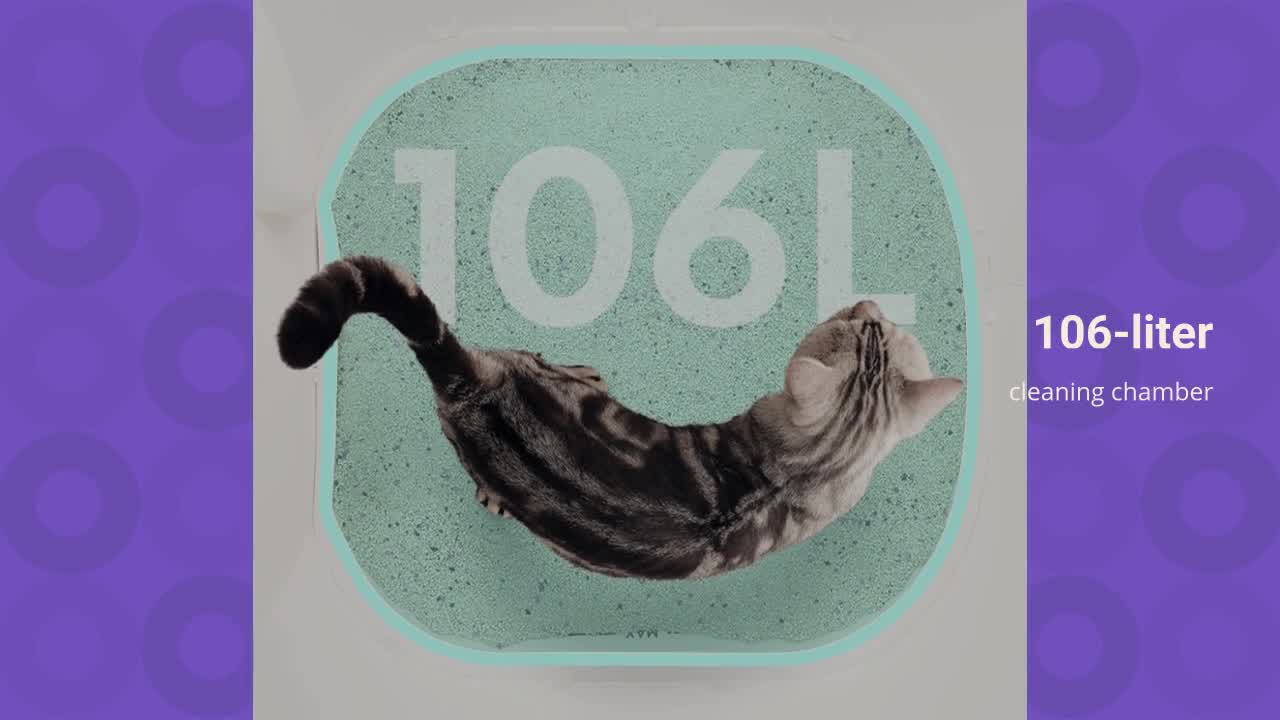 This smart cat litter box might be smarter than you – WFLA