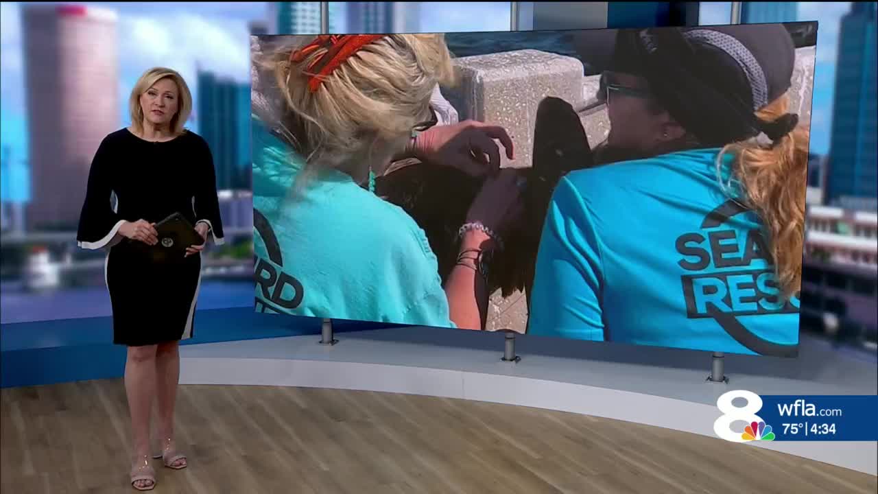 FWC seeking public input as it considers new fishing regulations at ...