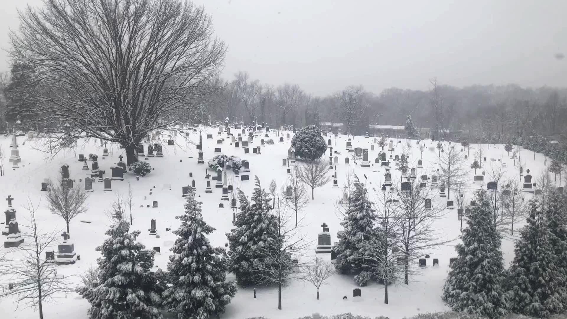 DC Snow Glover Park Holy Rood Cemetery – DC News Now | DC, Virginia ...
