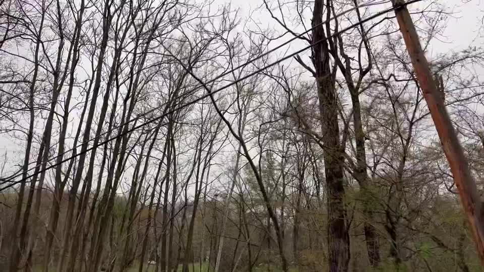 Fallen tree, power lines blocks lanes in Montgomery County – DC News ...