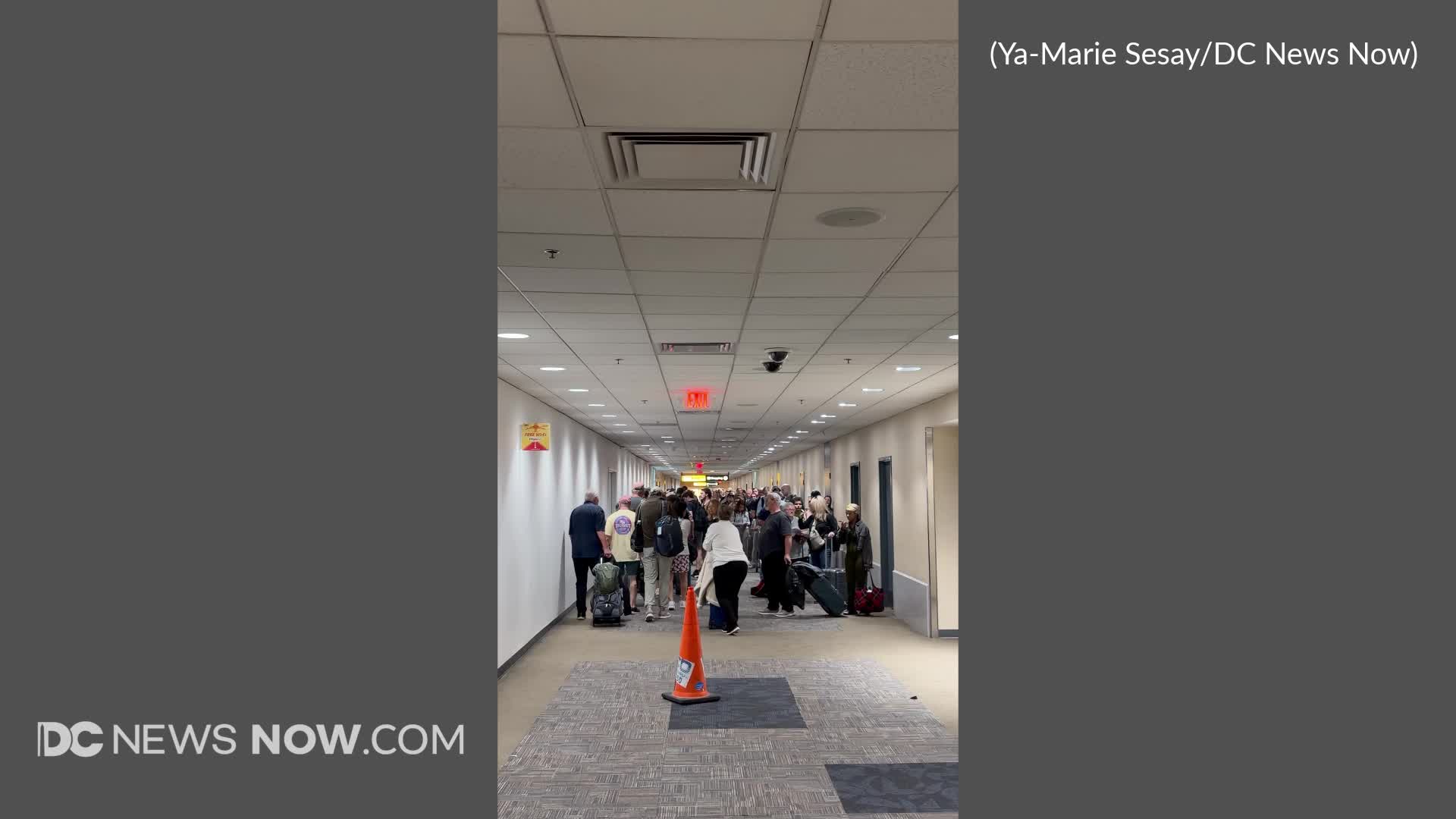 TSA Line at BWI Airport – DC News Now | DC, Virginia, Maryland News ...