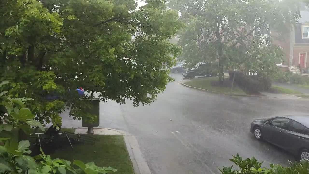 Heavy rain, wind hits Gaithersburg during severe storm on Aug. 7 – DC ...