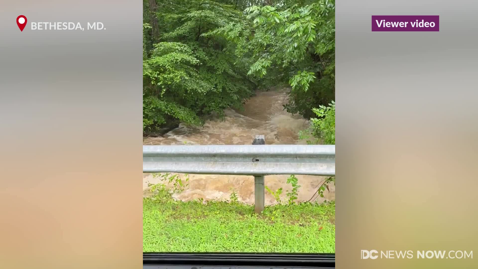 Rushing water near a Bethesda creek – DC News Now | DC, Virginia ...
