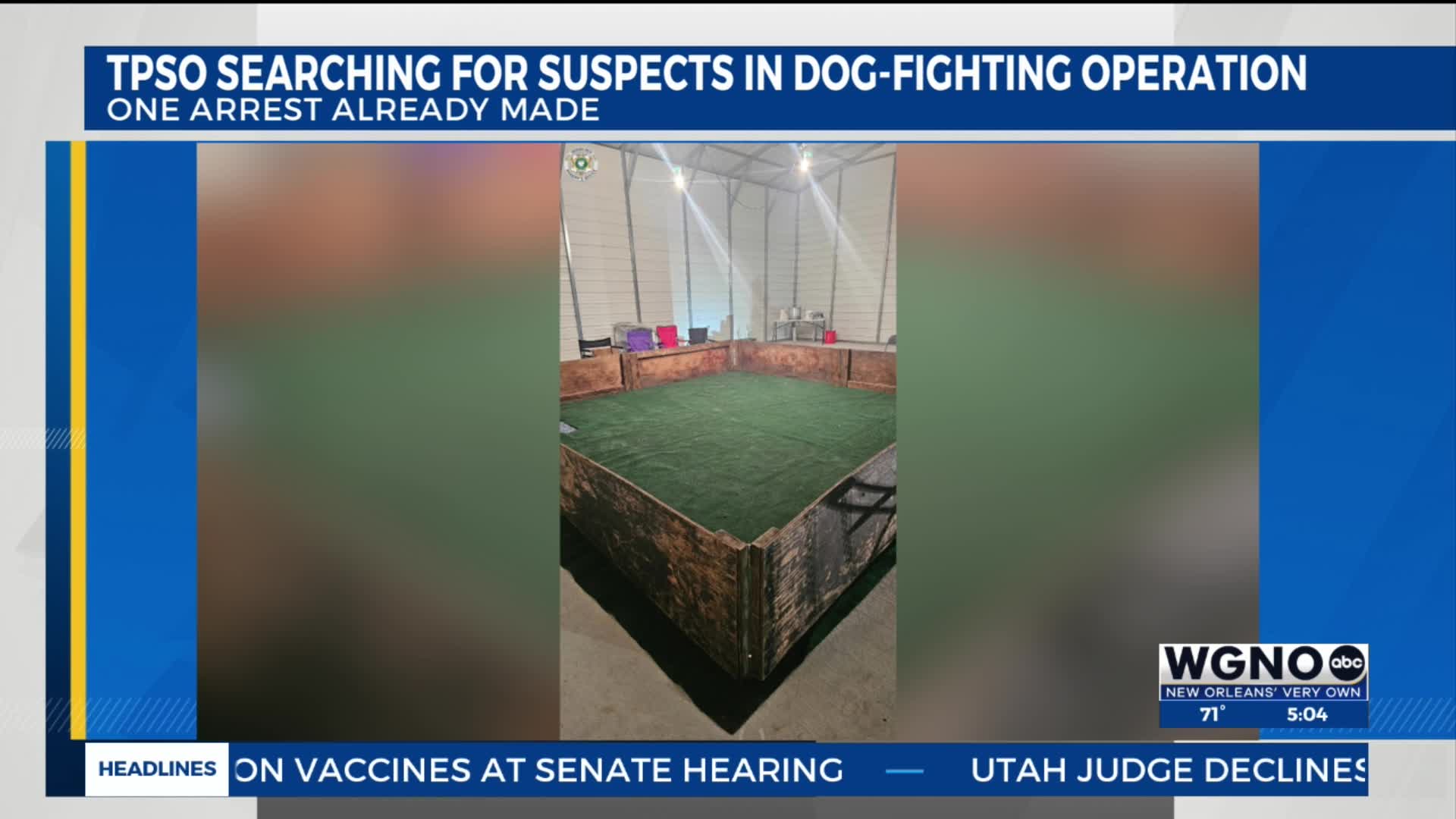 Dog-fighting bust made on Roseland property, one in custody: TPSO – WGNO