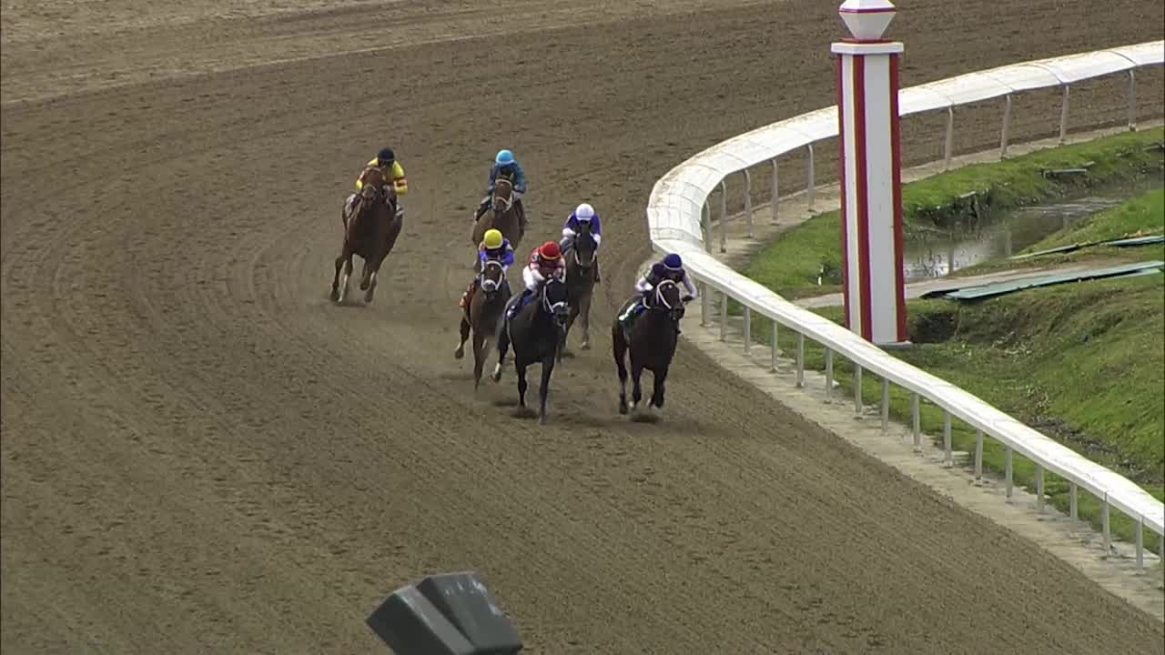 Two wins ties Cox with Faucheaux atop Fair Grounds Nola trainer ...